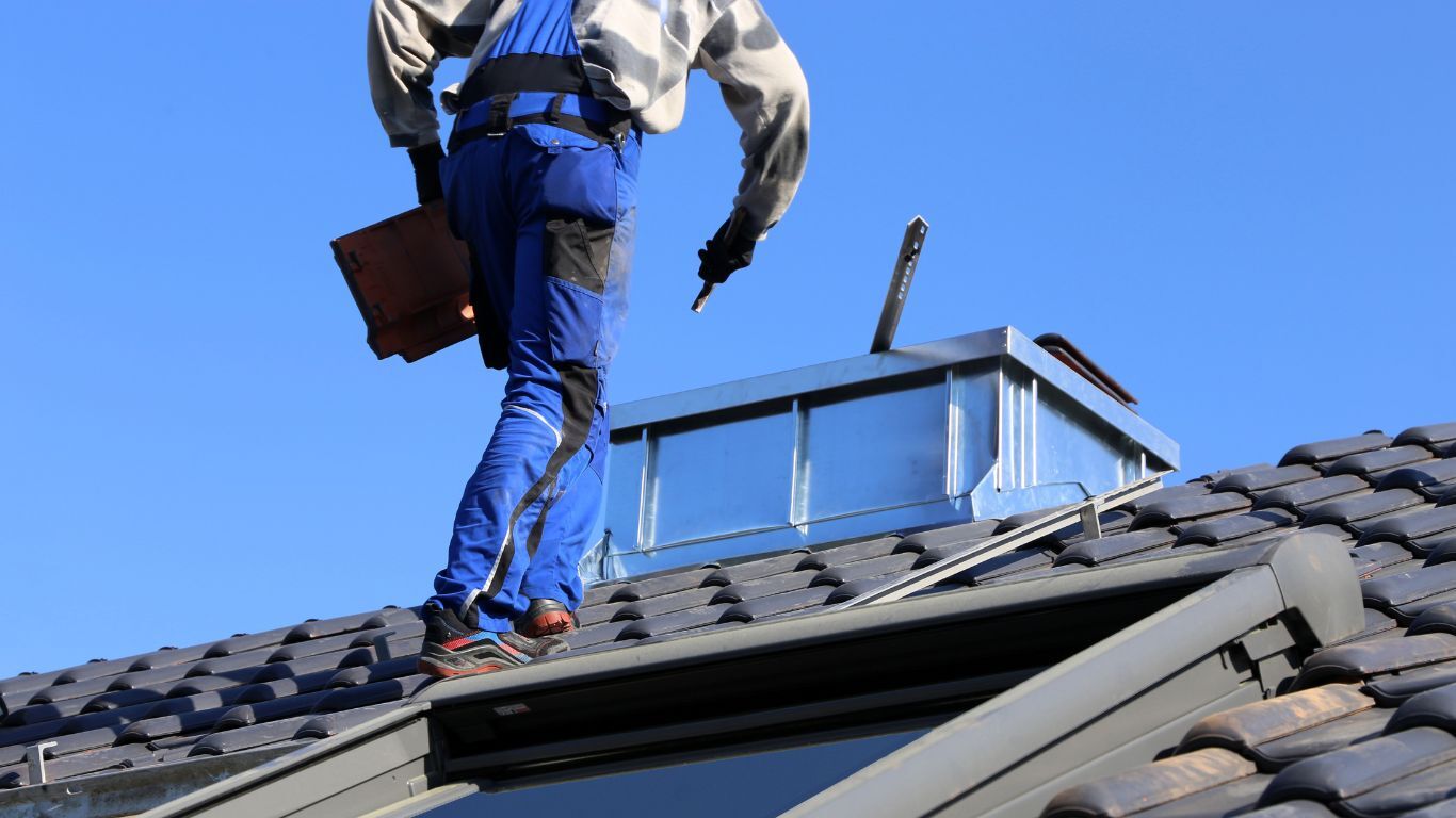 Green Roof Services - The Roof Doctor